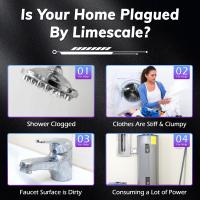 China Compact Inline Salt-Free Water Descaler with 1/2 Inch Threaded Connections for Home Water Systems for sale