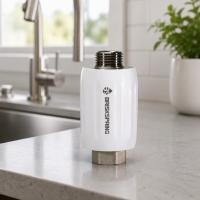 China Salt-Free Whole House Water Descaler with Maintenance-Free Operation and Pure Physical Ion Polarization Technology for sale