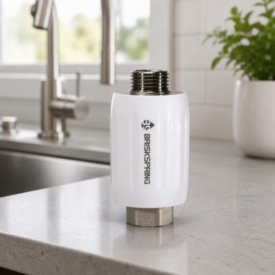 China Salt-Free Whole House Water Descaler with Maintenance-Free Operation and Pure Physical Ion Polarization Technology for sale