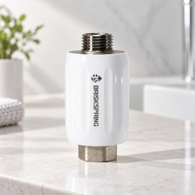 China Compact Salt-Free Inline Water Descaler 1/2 Inch Threaded Scale Inhibitor for Home Water Systems for sale