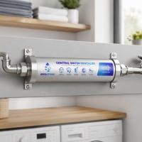 China Salt-Free Whole House Water Descaler with 4T/H Flow Rate for Hard Water Treatment for sale
