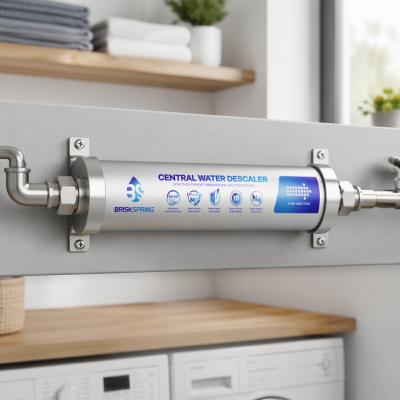 China Salt-Free Whole House Water Descaler with 4T/H Flow Rate for Hard Water Treatment for sale