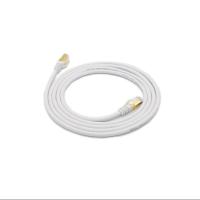 China FTP Cat6A STP Shielded Network Patch Cord 1m Oxygen-Free Copper 26AWG LAN Cable for sale