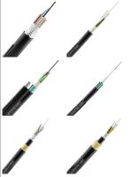 China GYTC8S Central Loose Tube Armored Fiber Patch Cable 24 Strand 48 Core Figure 8 for sale