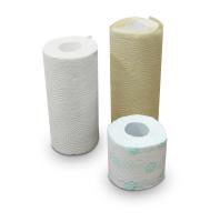 China Automatic Paper Roll Wrapping Machine Single Roll Toilet Paper Packing Machine for sale