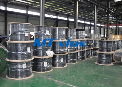 China Multi - Core Stainless Steel Coiled Tubing ASTM A213 S30400 / S30403 Bright Annealed for sale