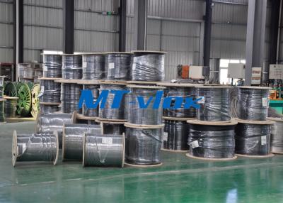 China 316L / 1.4404 Welded Coiled Seamless Stainless Steel Pipe For Multi - Core Tube for sale