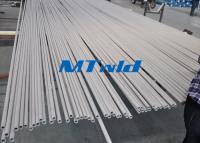 China ASTM A789 ASTM A249 TP304L / S31803 ERW Stainless Steel Welded Tube Polished for sale