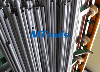 China Annealed & Pickled Straight Heat Exchanger Tube ASTM A213 / ASTM SA213 TP316L / S31603 for sale