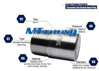 China 3 Inch ASTM A182 F347 2000LBS Round Head Plug With Treaded End for machinery for sale