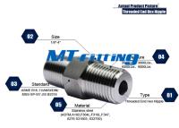 China F347 2000LBS Forged High Pressure Pipe Fittings ,  Stainless Steel Hex Nipple for sale