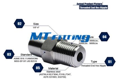 China F347 2000LBS Forged High Pressure Pipe Fittings ,  Stainless Steel Hex Nipple for sale