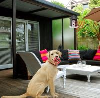 China Voice activated ultrasonic dog barking device pet bark control for all sizes of dogs for sale