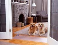 China Clean Health pet training mat Harmless To Pets Quick Release mat for sale