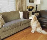 China PVC material ultrasonic cat training mat static High static dog cat sofa training mat for sale