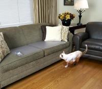 China PVC material ultrasonic cat training mat static High static dog cat sofa training mat for sale
