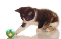 China ABS Material Cute Cat Toys Sound And Light Ball Three Type Sounds ROHS/CE Approved for sale