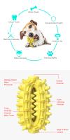 China Dog Toothbrush Molars Stick 15cm Cactus Dog Bite Toys for sale