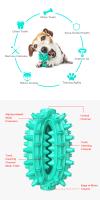 China Puzzle Game Cactus TPR Dog Teeth Cleaning Cute Pet Toys for sale
