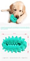 China Puzzle Game Cactus TPR Dog Teeth Cleaning Cute Pet Toys for sale