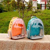 China ODM Transparent Breathable Pet Dog Cat Travel Backpack for sale
