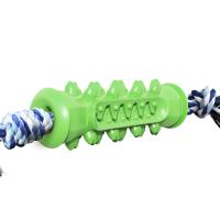 China Factory Direct Sale With Rope Single Serrated Molar Stick Pet Dog Teeth Cleaning Dog Training Toy for sale
