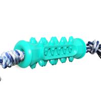 China Factory Direct Sale With Rope Single Serrated Molar Stick Pet Dog Teeth Cleaning Dog Training Toy for sale