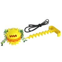 China Elastic Plastic Cute Pet Toys Outdoor Water Dog Chewing Ball for sale