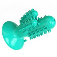 China Cactus Shape Tooth Cleaning Cute Pet Toys Dog Bite Toy With Customized Service for sale