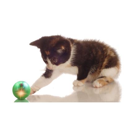 China Flashing Light ABS EVA Cute Pet Toys Interactive Rolling Ball Hollow Sound for sale