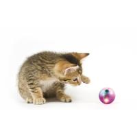 China Flashing Light ABS EVA Cute Pet Toys Interactive Rolling Ball Hollow Sound for sale