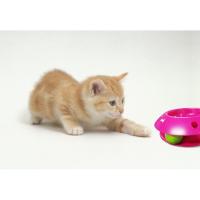 China Hot Selling Pet Food Container Slow Feeding Bowl Iq Treat Dog Toy Fun Feeder Interactive Dog cat Bowl for sale