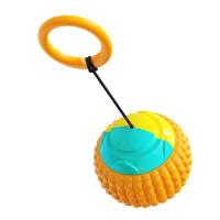 China Suction Cup Push Elastic Ropes Pet Tooth Cleaning Chewing Playing Puppy Cats Indestructible Dog Toy for sale