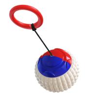 China Suction Cup Push Elastic Ropes Pet Tooth Cleaning Chewing Playing Puppy Cats Indestructible Dog Toy for sale