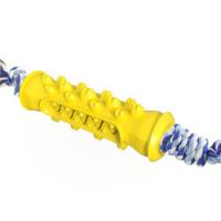 China Manufacture Pet Product Durable Dog Chew Toys Rubber Bone For Dogs for sale