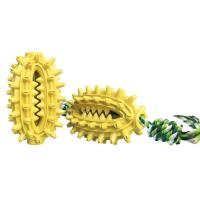 China Pet Supply Wholesale Dogs Toothbrush Cleaning Durable Pet Chew Toy With Rope Molar Ball for sale