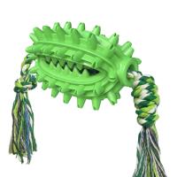China Pet Supply Wholesale Dogs Toothbrush Cleaning Durable Pet Chew Toy With Rope Molar Ball for sale