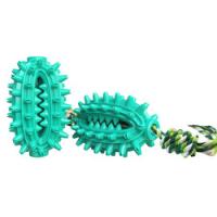China Pet Supply Wholesale Dogs Toothbrush Cleaning Durable Pet Chew Toy With Rope Molar Ball for sale