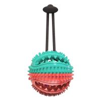 China Durable Cat Electric Toothbrush Interactive Pet Puppy Dog Food Feeder Ball for sale