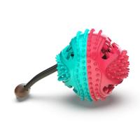 China Durable Cat Electric Toothbrush Interactive Pet Puppy Dog Food Feeder Ball for sale