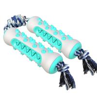 China Molar Toothbrush Cute Pet Toys Indestructible Durable Toothpaste Pet Dog Toy for sale