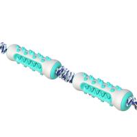 China Molar Toothbrush Cute Pet Toys Indestructible Durable Toothpaste Pet Dog Toy for sale