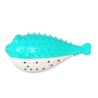 China New Cute Pet Cat Toothbrush Toy Catnip Flavor Silicone Simulation Fish Molar Stick Tooth Cleaning Toy Toothbrush for sale