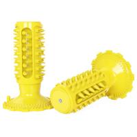 China Professional Manufacturer Supply Classical Tpr Dog Squeaky Sounding Toothbrush Dog Interactive Toy for sale