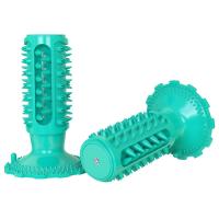 China Professional Manufacturer Supply Classical Tpr Dog Squeaky Sounding Toothbrush Dog Interactive Toy for sale