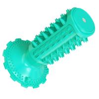 China Professional Manufacturer Supply Classical Tpr Dog Squeaky Sounding Toothbrush Dog Interactive Toy for sale