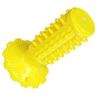 China Professional Manufacturer Supply Classical Tpr Dog Squeaky Sounding Toothbrush Dog Interactive Toy for sale