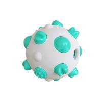 China 2021 Durable Interactive Dog Puzzle Toothbrush Toy Bite Resistant Ball Pet Chew Toys for sale