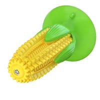 China Hot Selling Dogs Toothbrush Oral Chew Cleaning Toy Pet Toothbrush Stick Pet Toys for sale