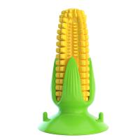 China Hot Selling Dogs Toothbrush Oral Chew Cleaning Toy Pet Toothbrush Stick Pet Toys for sale